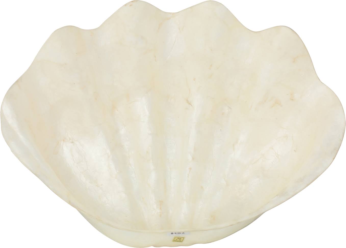 The Seashell Company Decorative Capiz Shell Clam Shaped Bowl 18x22 - WXF-02