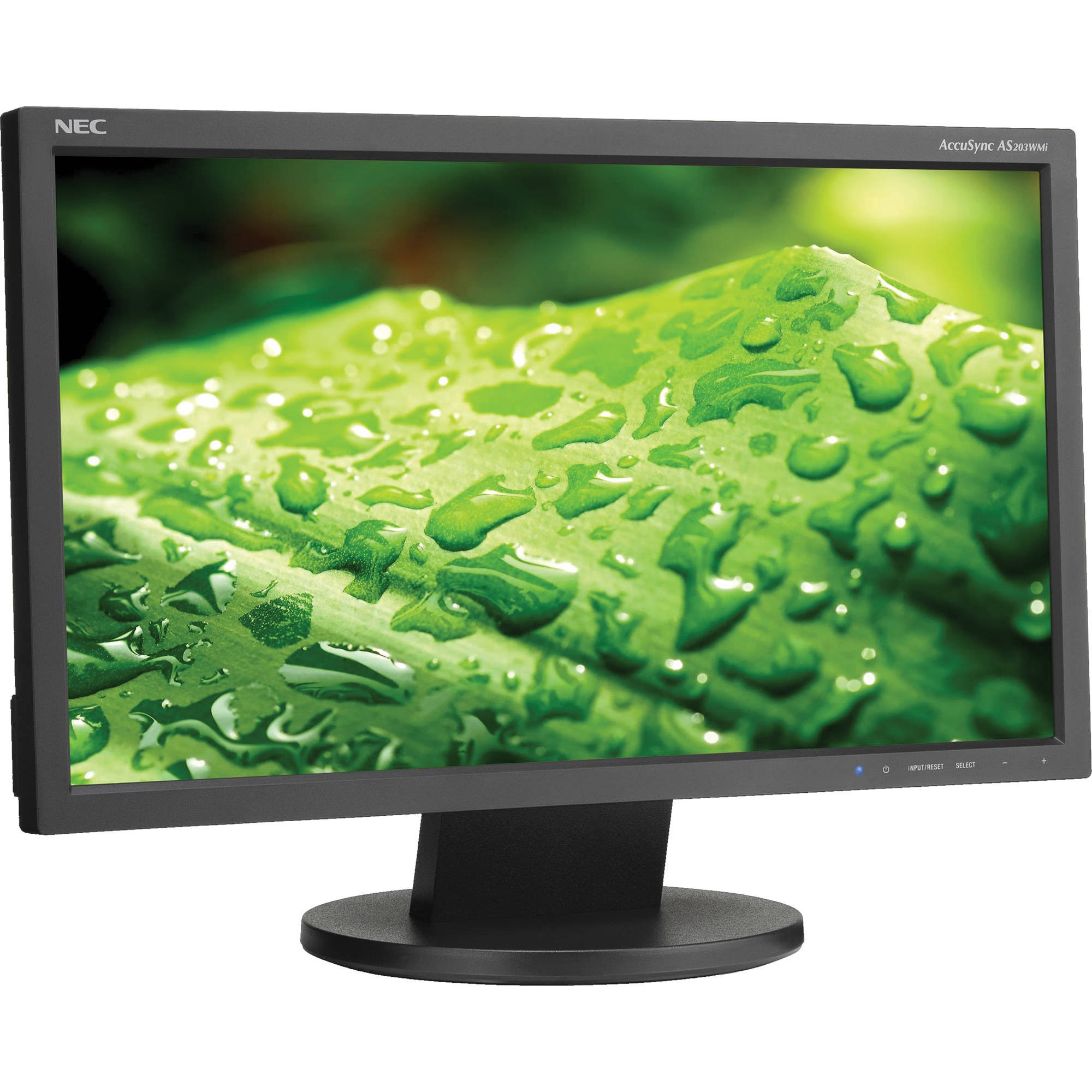 NEC AccuSync As203wmi-bk - LED Monitor - 20 inch - WXF-02