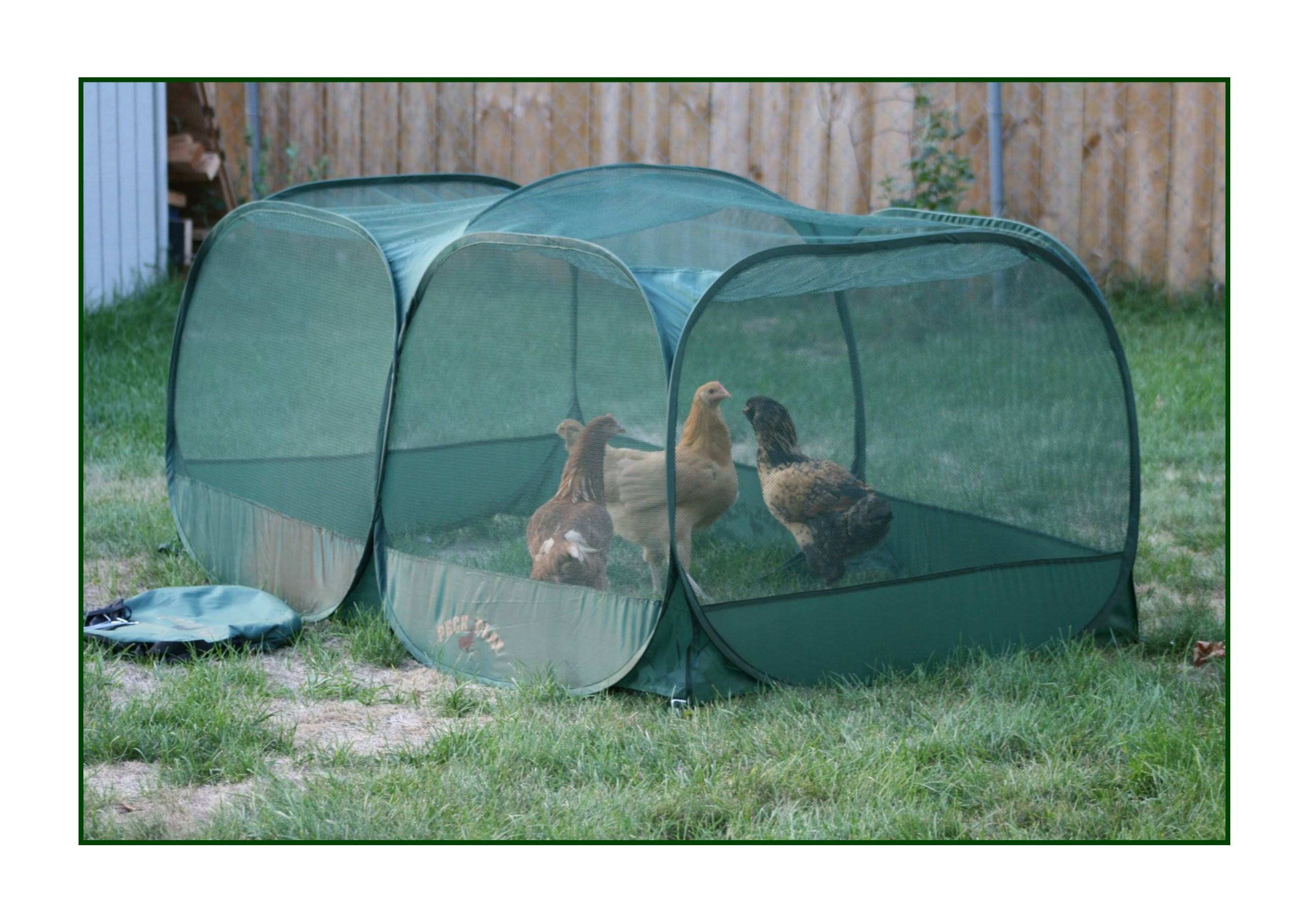 Portable Chicken Enclosure Wild Goose 5CHPP - WXF-02
