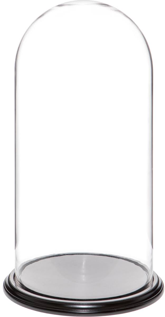 Plymor 11.75x22 x 23x22 Glass Display Dome Cloche (Black Wood Veneer ...