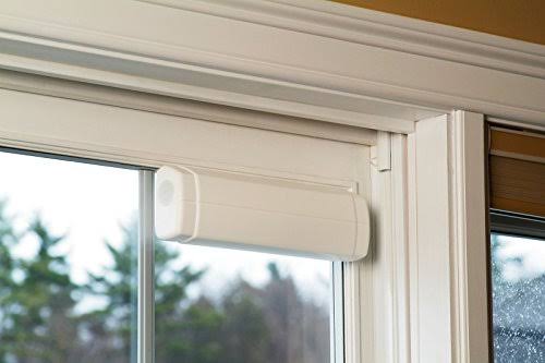 Ladybug Buster 5 Pack - Hrazda