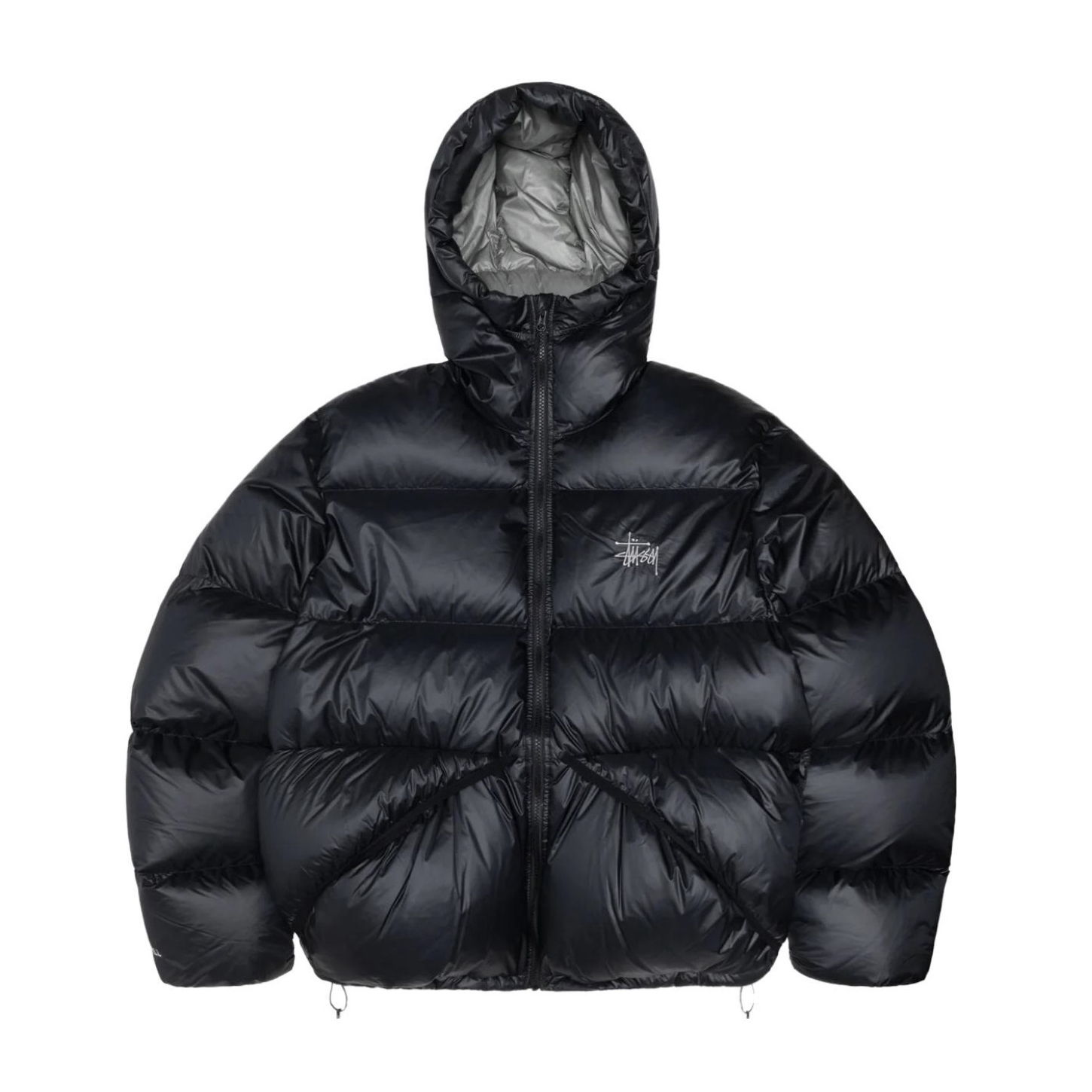 FWRD Stussy Micro Ripstop Down Parka Long Sleeve Zipper Hooded Down ...